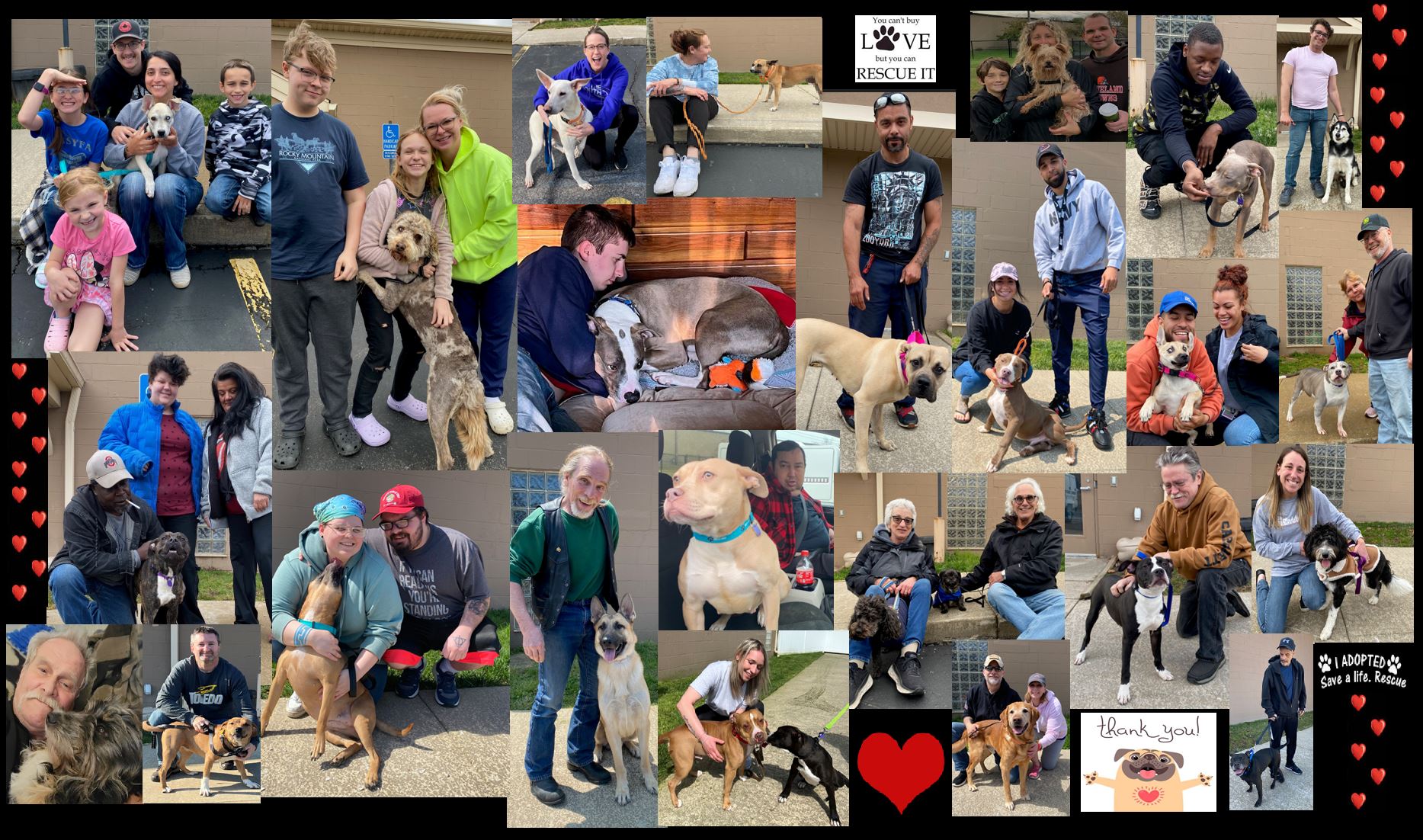 Happy Tails - Dog Shelter